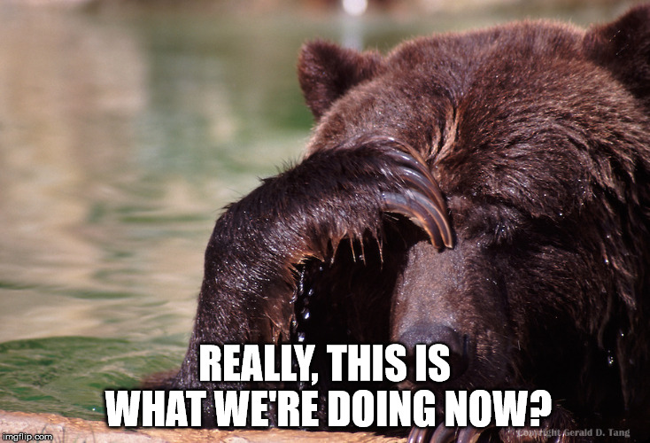 facepalm-bear | All Heart in Hoop City